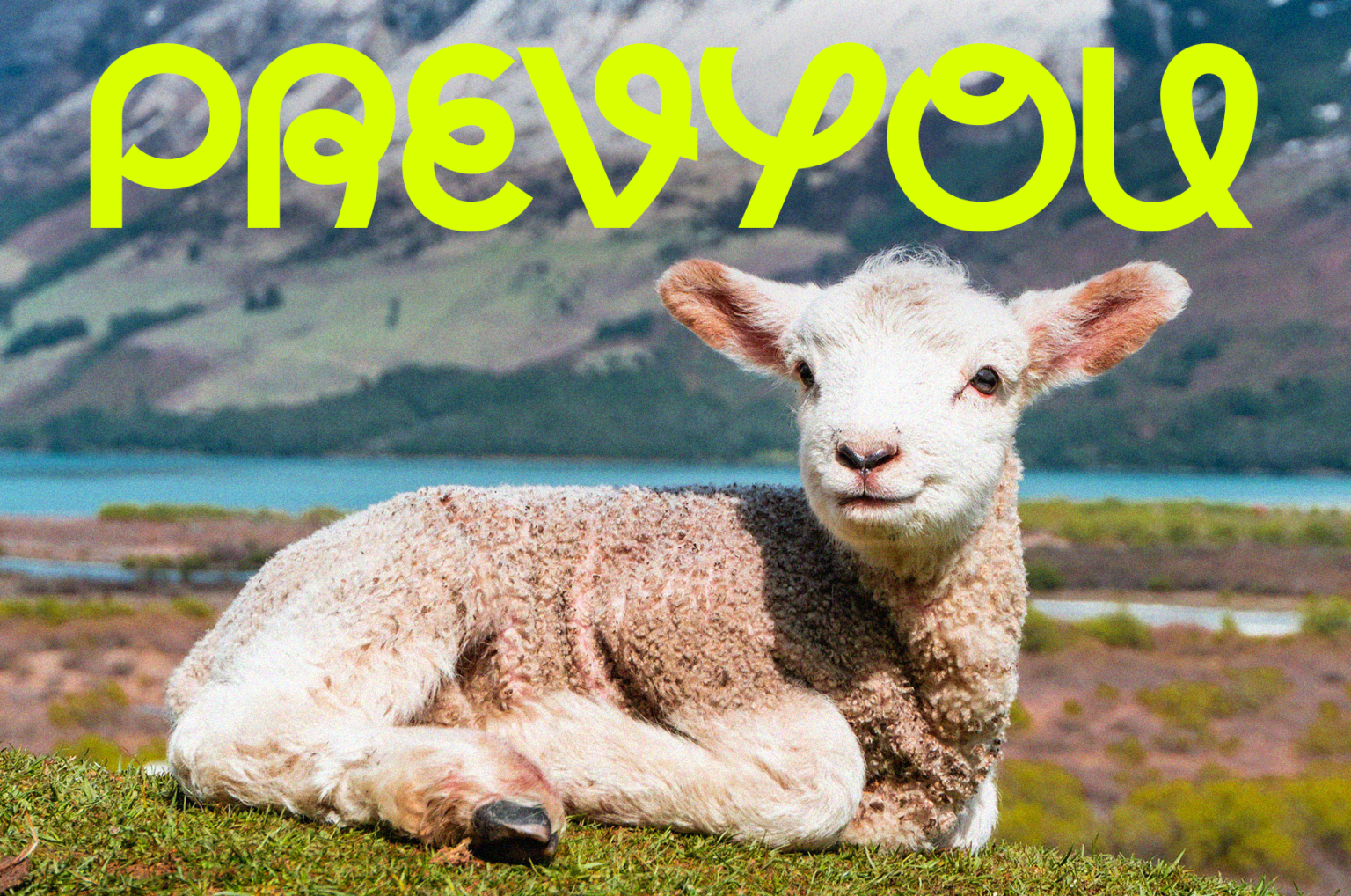 PrevYou x DFFB: Festival für den jüngsten deutschen Kurzfilm - DFFB